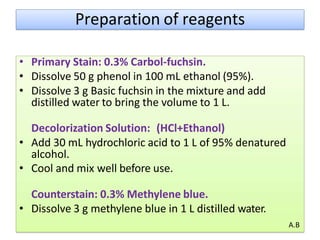 acid-faststaining for differentiate acid fast bacteria.pptx | Chemistry ...