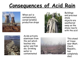 Acid Rain 1207059932534136 3 | PPT
