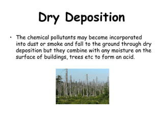 Acid Rain | PPT