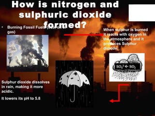Acid Rain.... | PPT