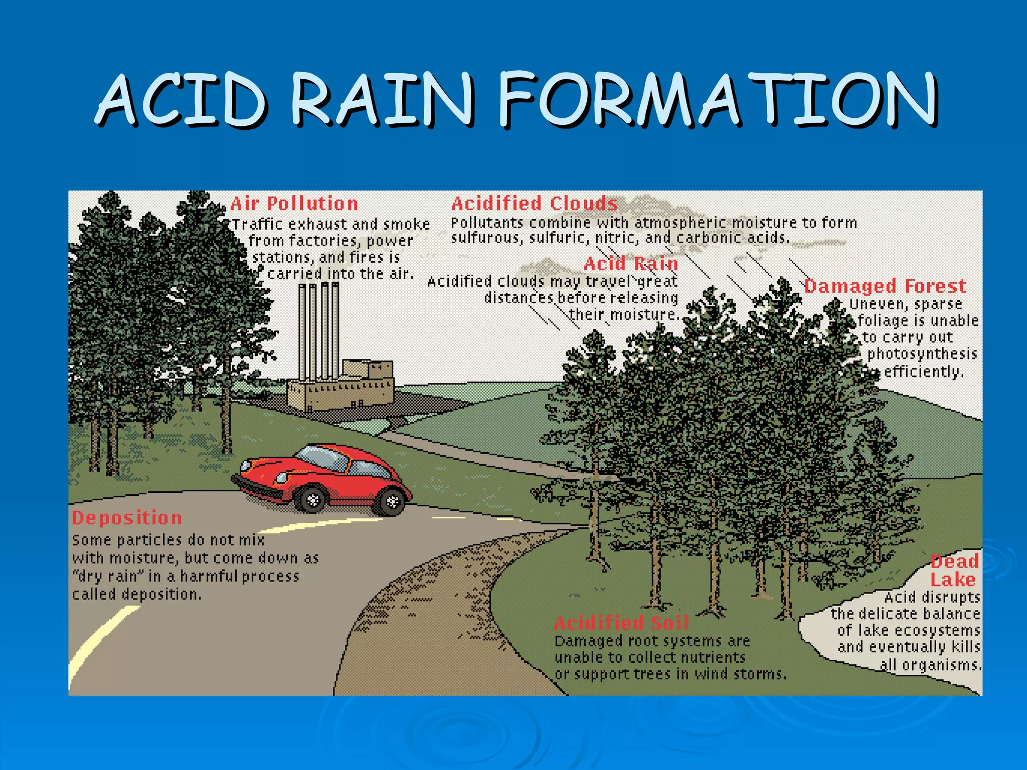Acid Rain Jesus Y Randy | PPT