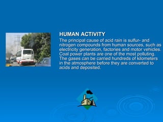 Acid Rain Jesus Y Randy | PPT