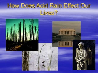 Acid-Rain-Powerpoint.ppt