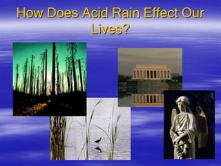 Acid-Rain-Powerpoint.pptx