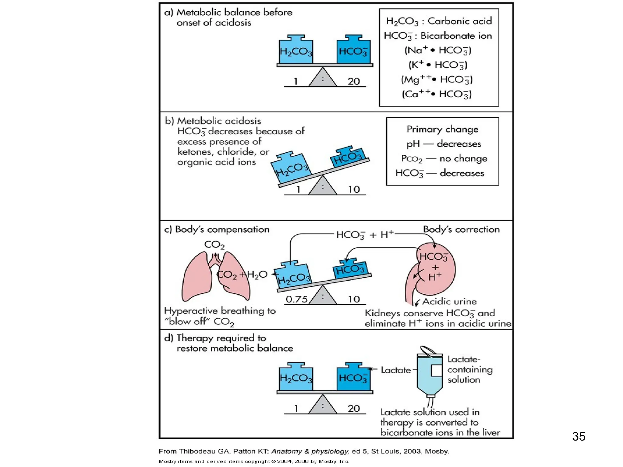 Acid and Base.ppt.....bdhdjdjdjrjedjddjdjdddjddjj | PPT | Lung and Respiratory Health | Diseases ...