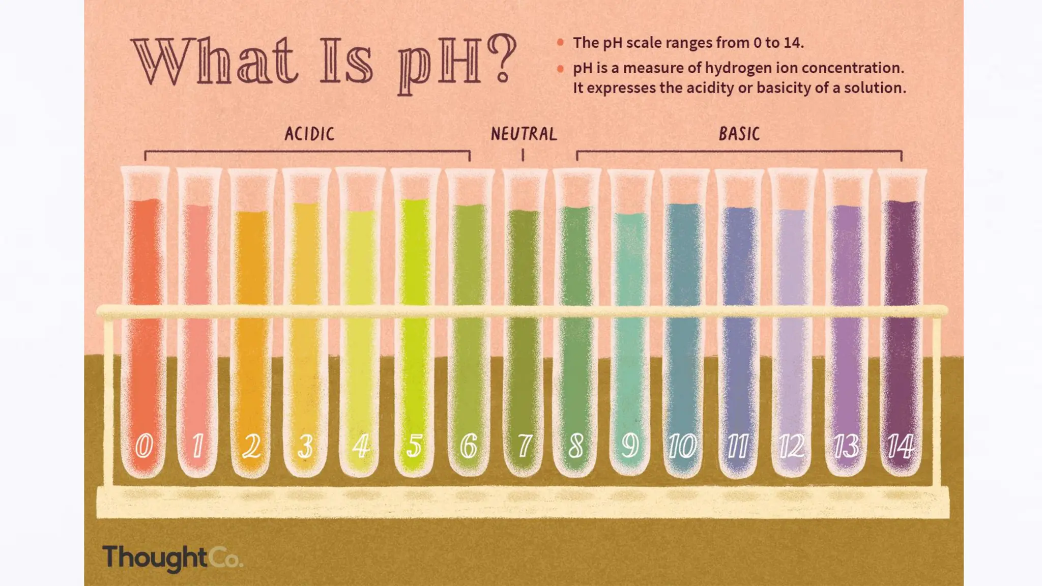 ACID AND BASE, ph meter and the usage of litmus paper.pdf