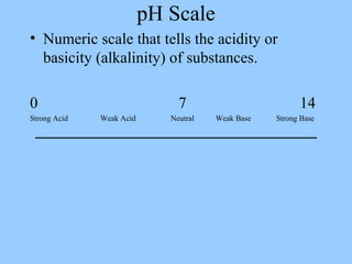 Acids and Bases | PPT