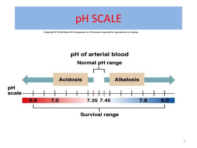 acid base disorder and ABG analysis