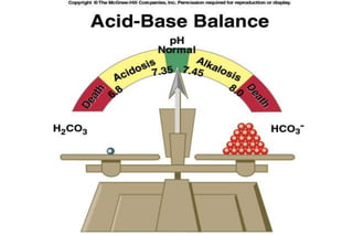 Acid Base Balance | PPT