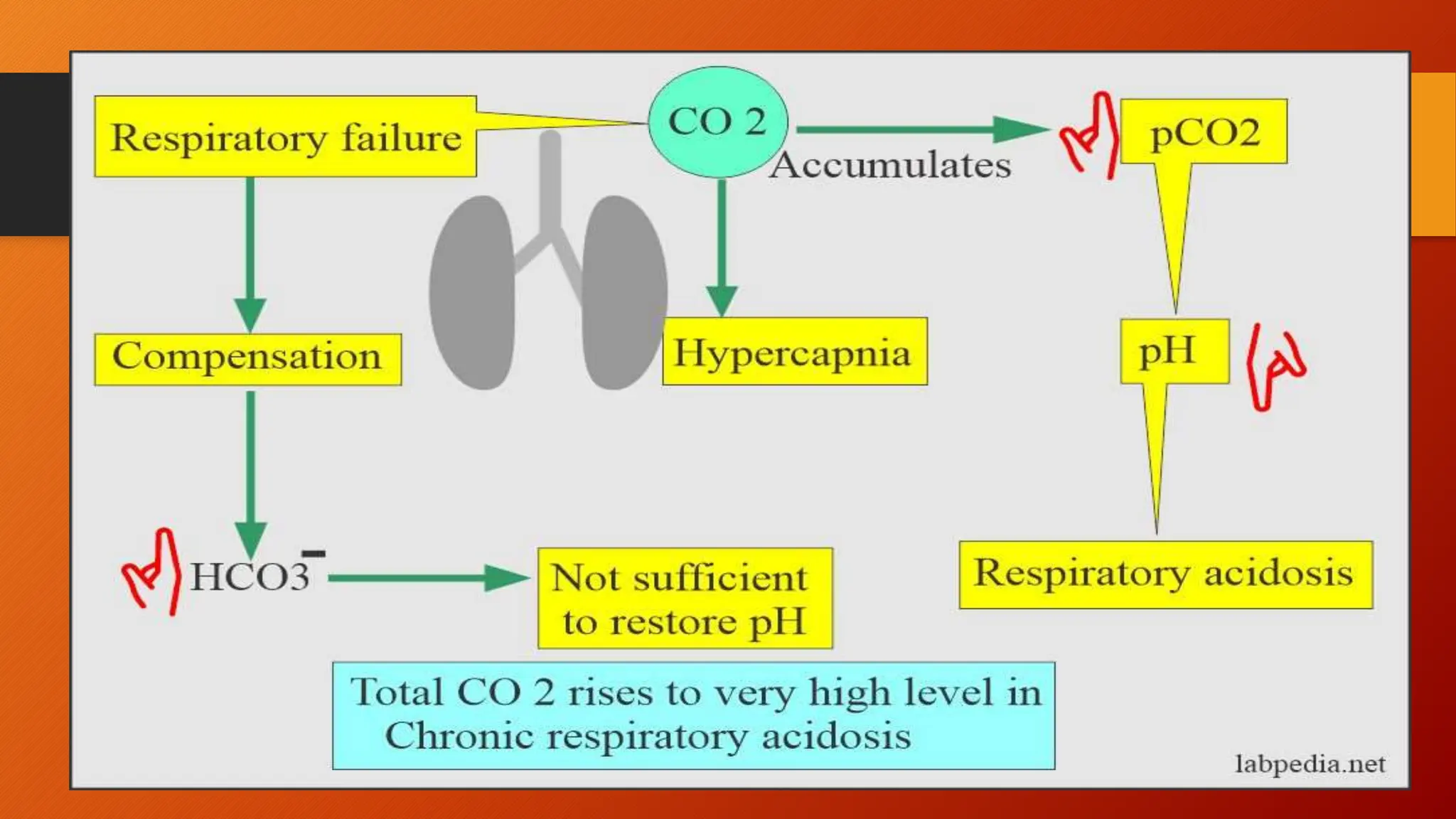 acid base balance diagnosis and treatment | PPTX