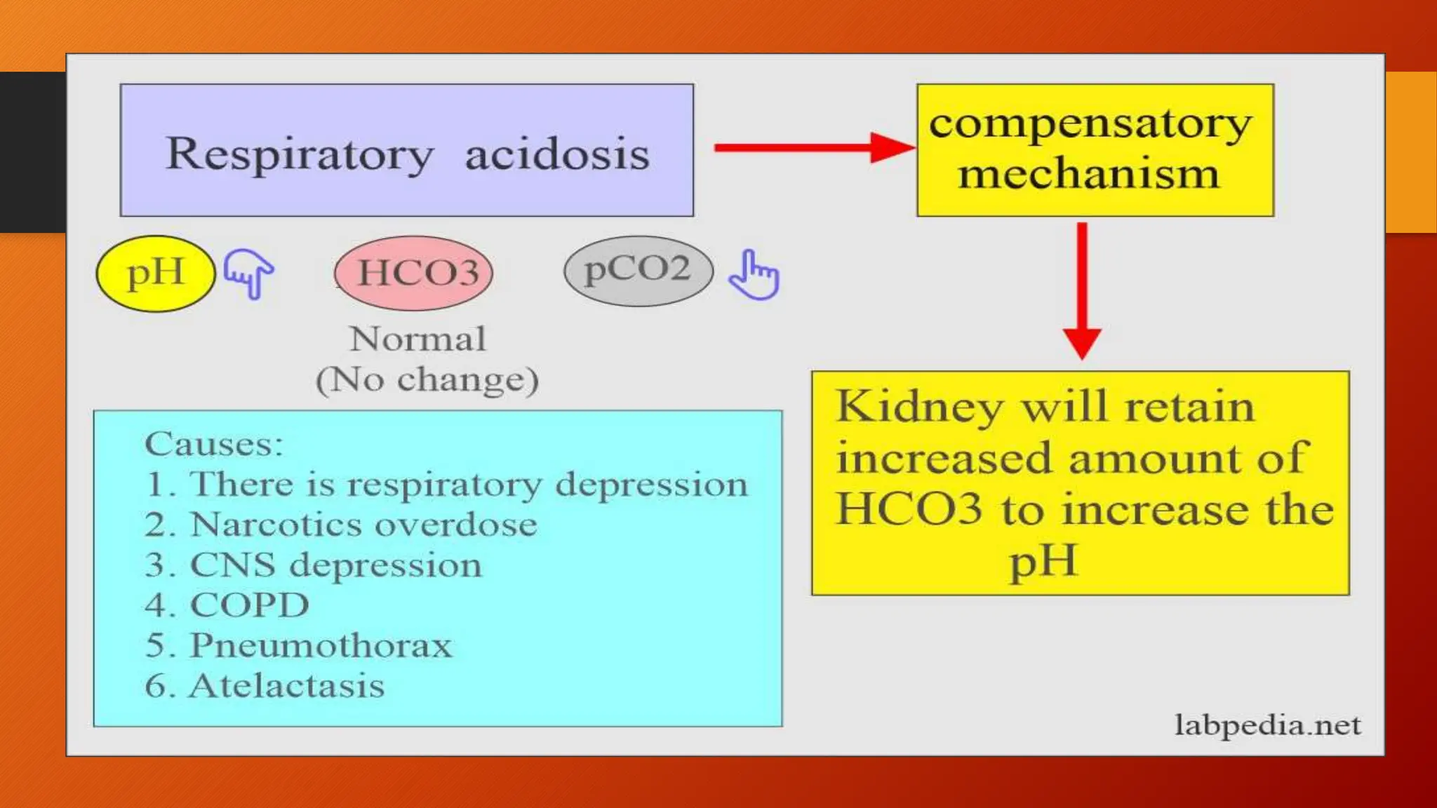 acid base balance diagnosis and treatment | PPTX