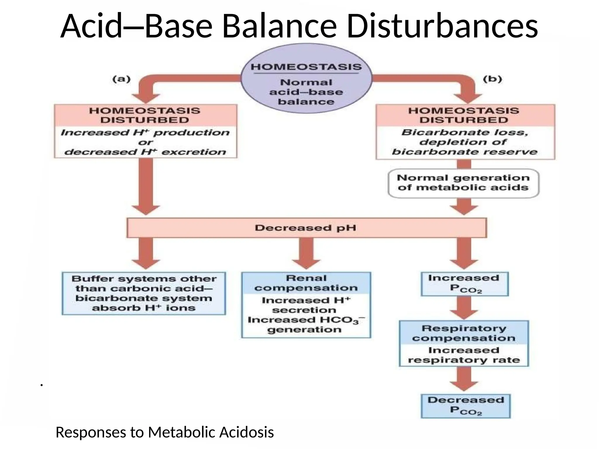 ACID BASE balance and ph buffers medical.pptx | Lung and Respiratory Health | Diseases and ...