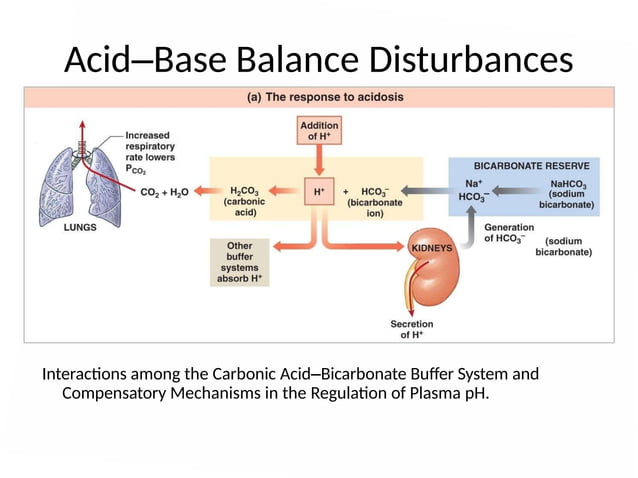 ACID BASE balance and ph buffers medical.pptx | Lung and Respiratory Health | Diseases and ...