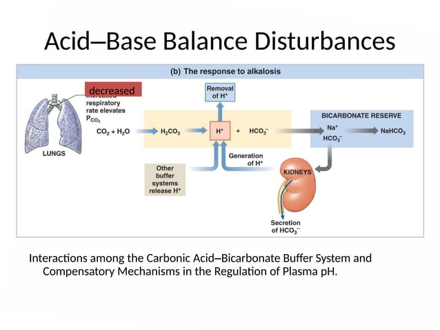 ACID BASE balance and ph buffers medical.pptx | Lung and Respiratory Health | Diseases and ...