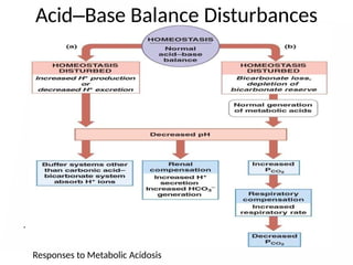 ACID BASE balance and ph buffers medical.pptx