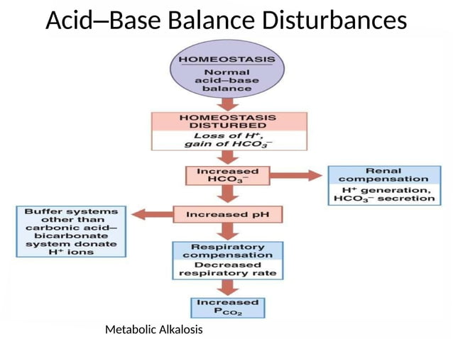 ACID BASE balance and ph buffers medical.pptx | Lung and Respiratory ...