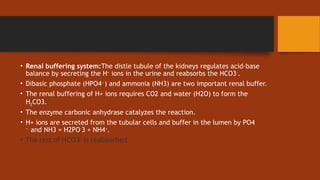 Types and diagnosis and treatment of acid base balance | PPTX
