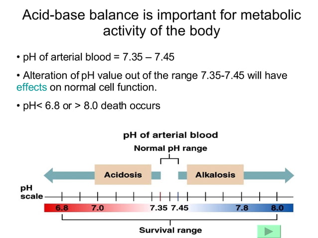 Acid Base Balance And Disturbance | PPT | Lung and Respiratory Health ...