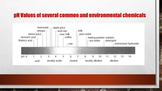 Acid Base -Part 2-.pptx