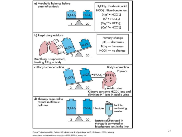 Acid base abnormalities (causes and treatment) | PPT