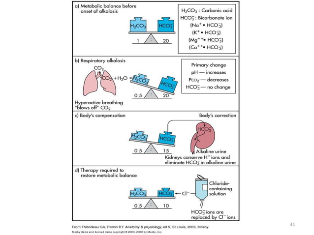 Acid base abnormalities (causes and treatment) | PPTX | Chemistry | Science