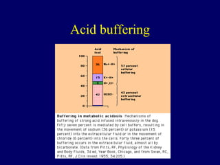 Acid Base Analysis | PPT