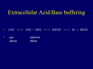 Acid Base Analysis | PPT