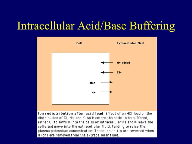 Acid Base Analysis | PPT
