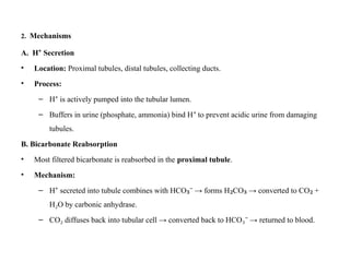 Acid, Base, pH & Buffers Mechanism Func | PPTX