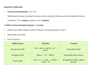 Acid, Base, pH & Buffers Mechanism Func | PPTX