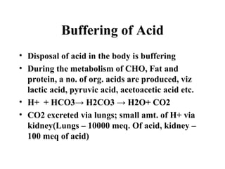 Acid – Base Balance | PPT