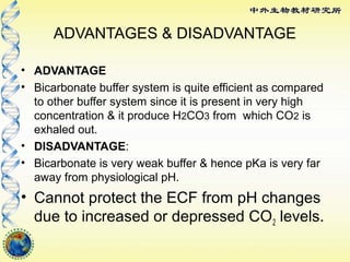 Acid base balance(summary) | PPT