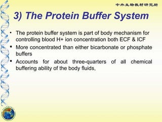 Acid base balance(summary) | PPT