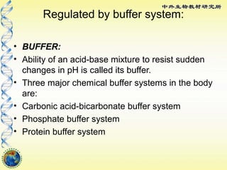 Acid base balance(summary) | PPT