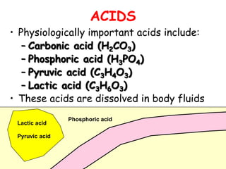 Acid base balance | PDF