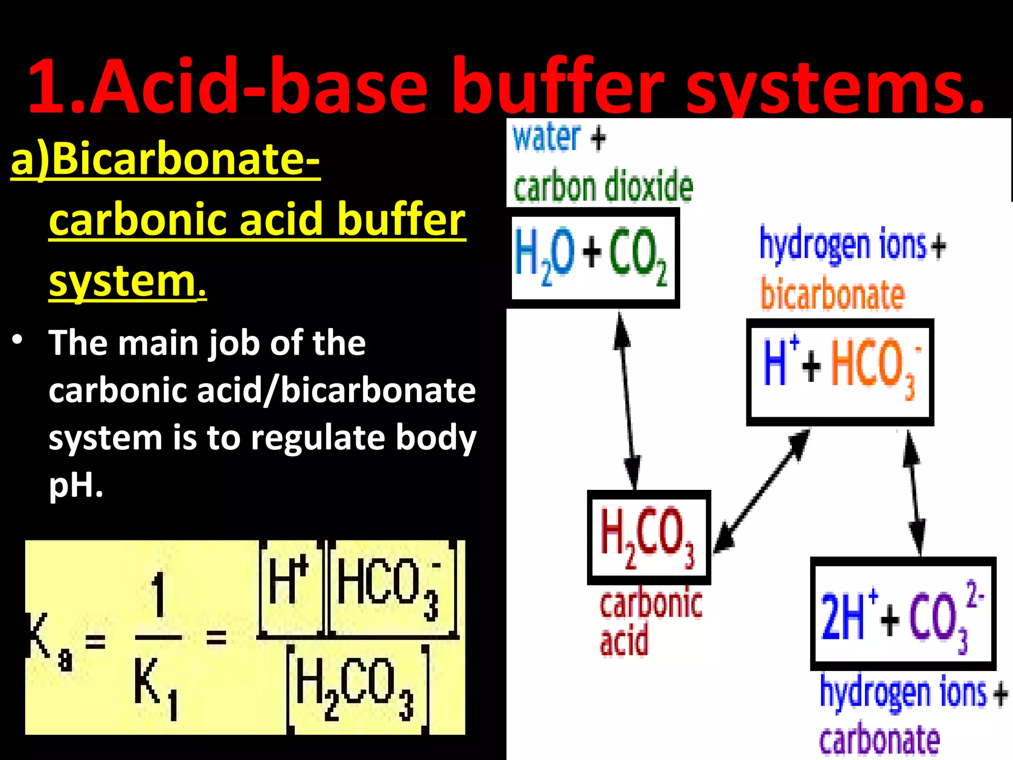 Acid base balance | PPT