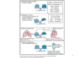 Acid base balance | PPT