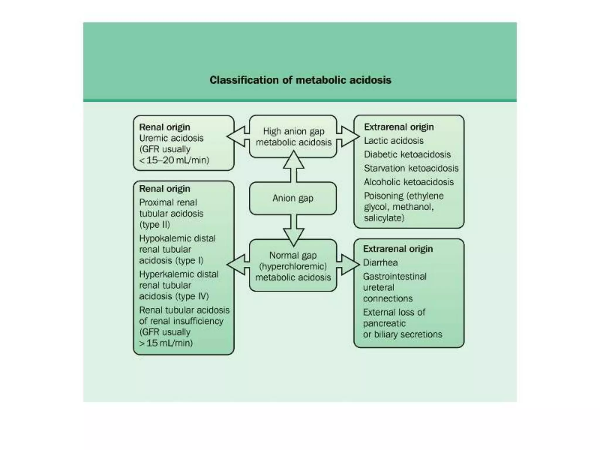 Acid base balance | PPT