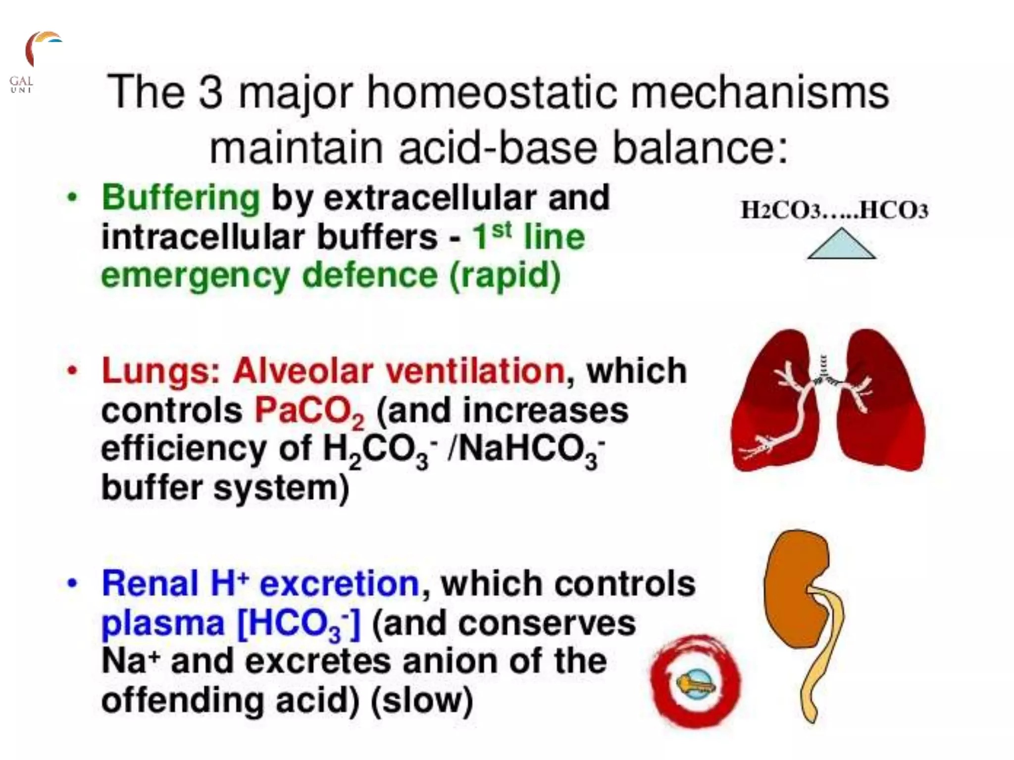 Acid base balance | PPT