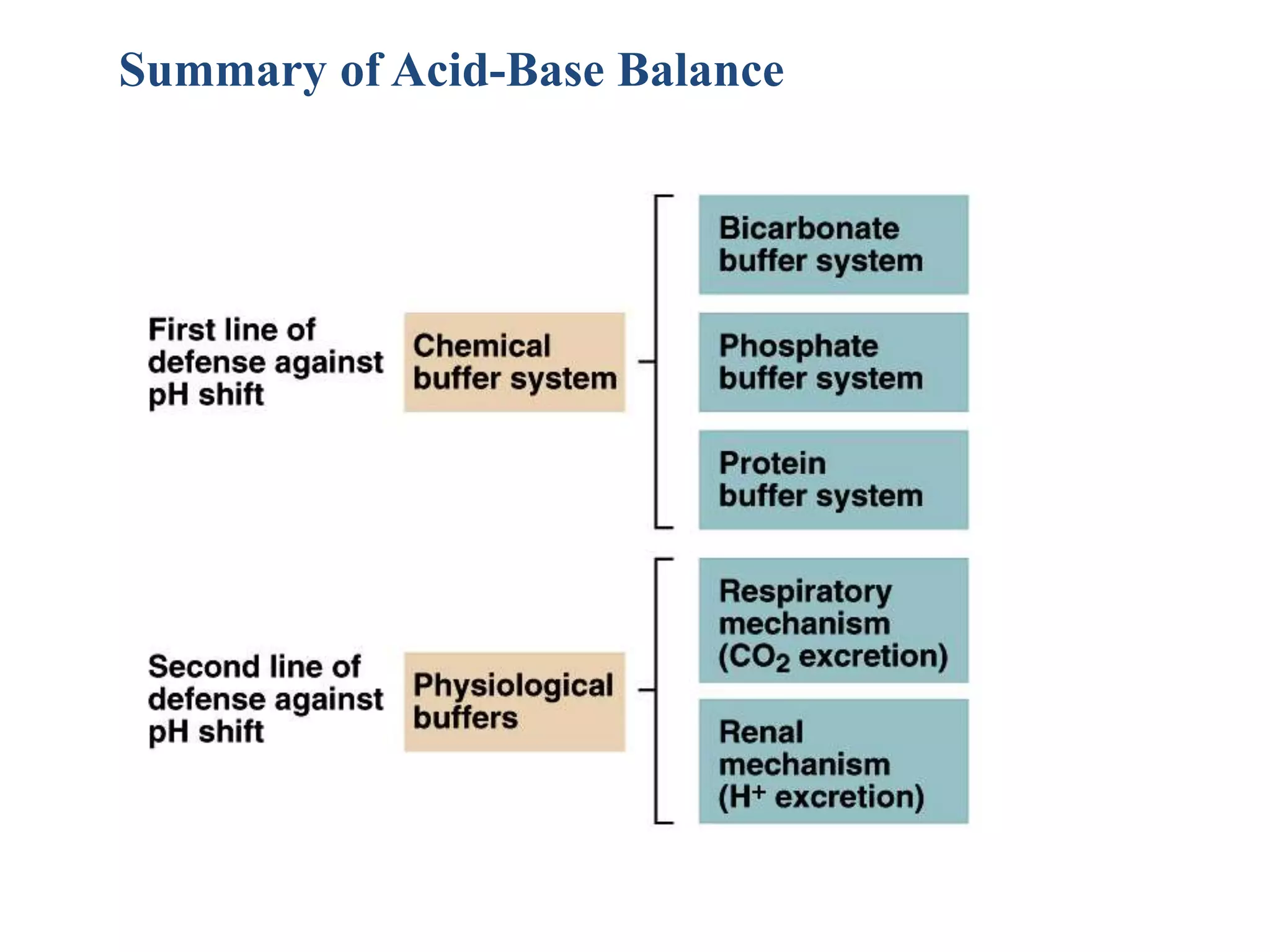 Acid base balance.. | PPT