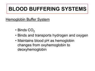 acid base balance.pptx