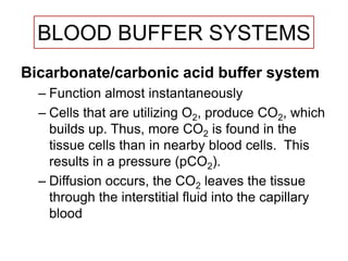 acid base balance.pptx