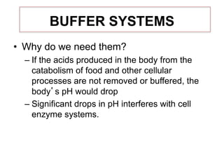 acid base balance.pptx