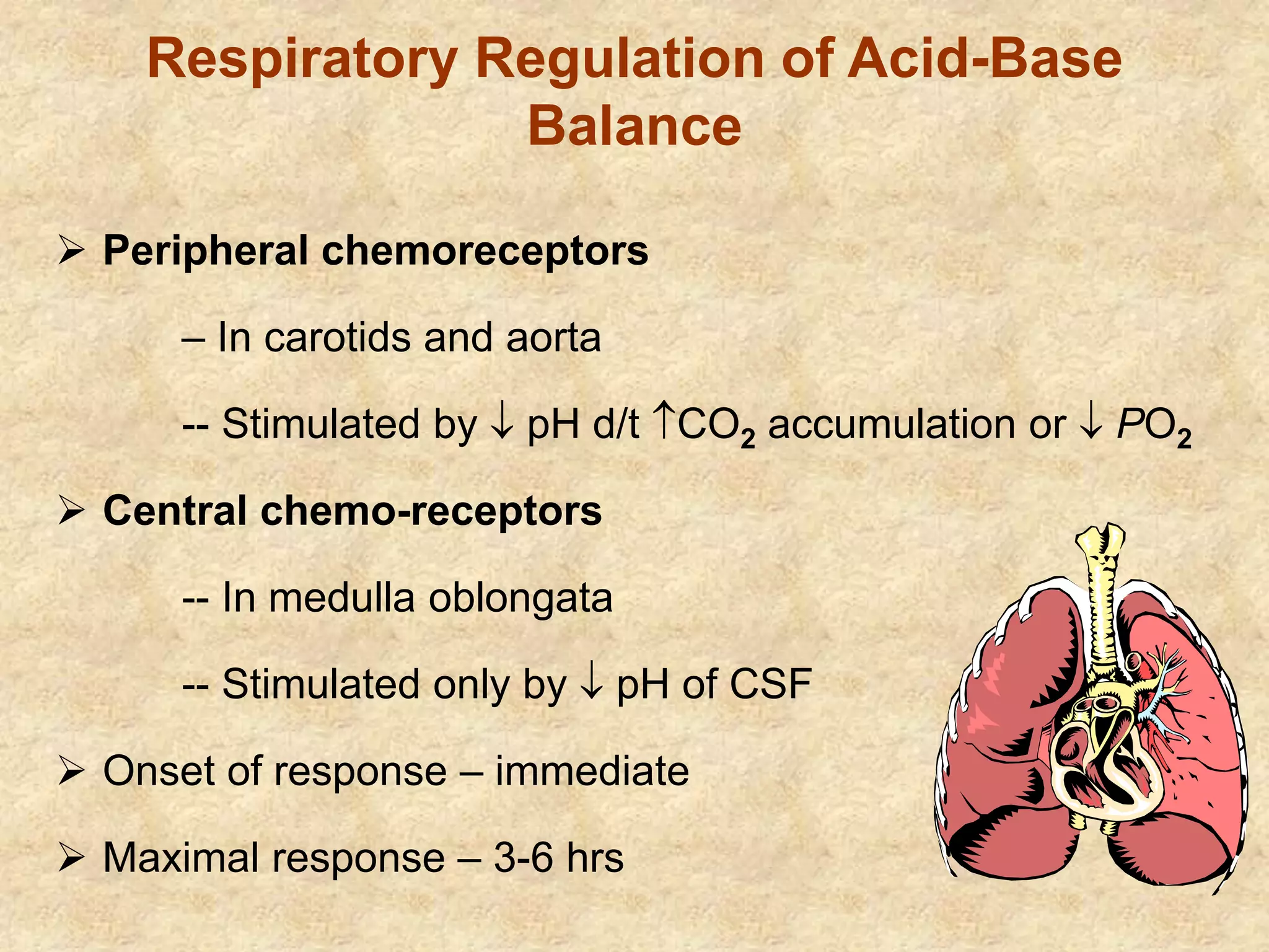 acid_base_balance.ppt