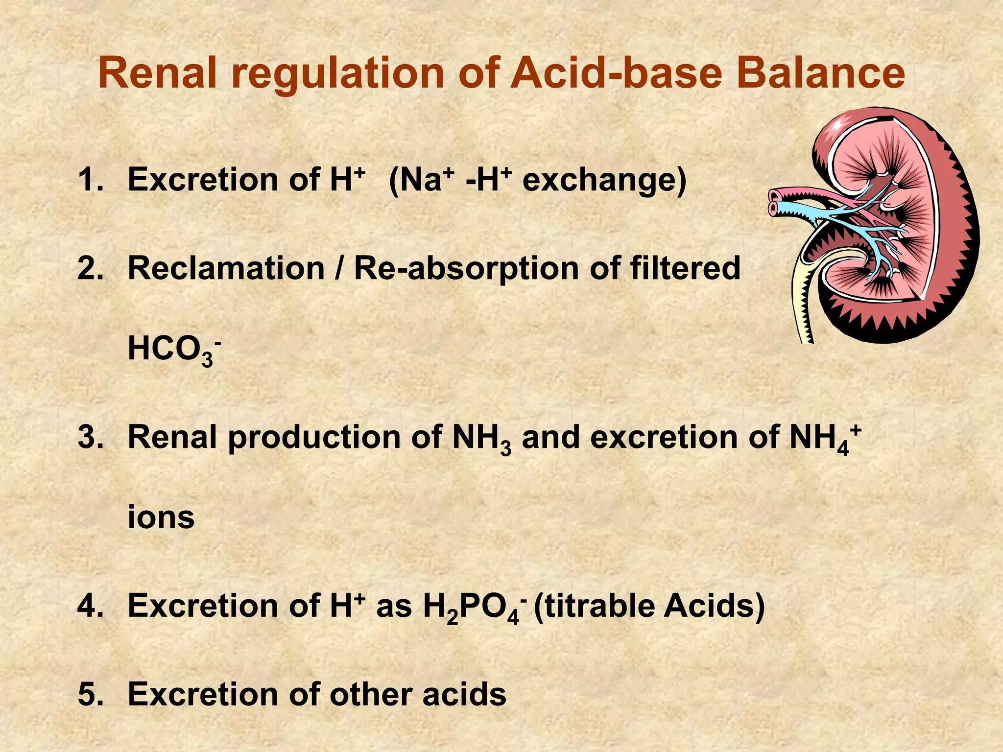 acid_base_balance.ppt