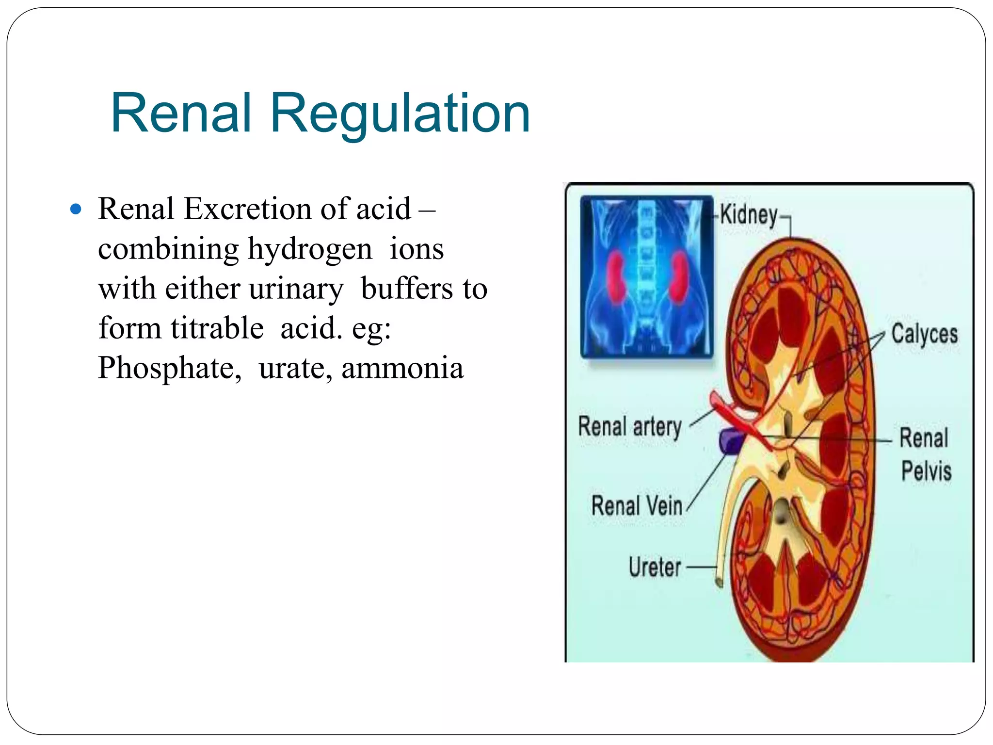 Acid Base Balance.pptx