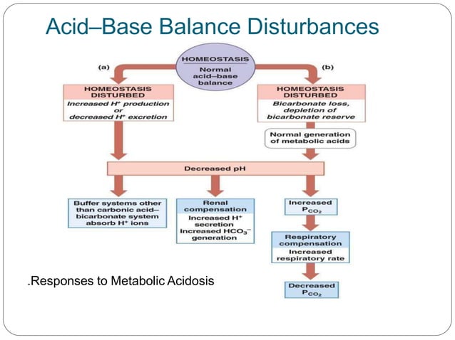 Acid Base Balance.pptx