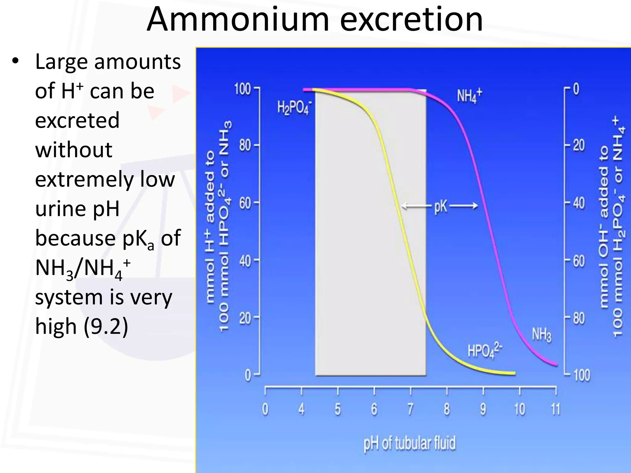 acid base balance.pdf