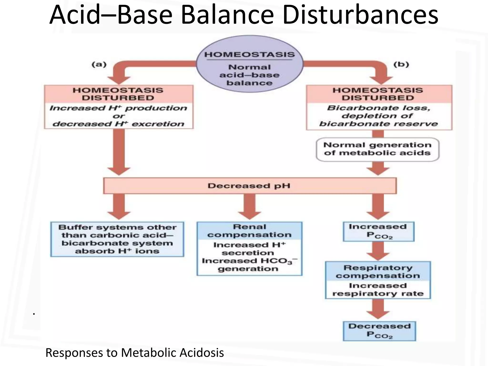 acid base balance.pdf