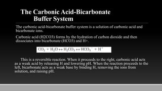 ACID BASE BALANCE.pptx